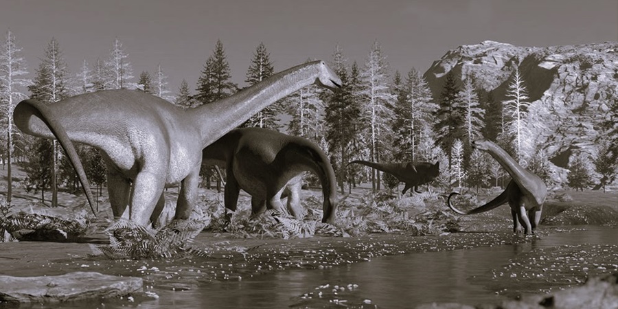 Hallan en Neuquén uno de los últimos dinosaurios de cuello largo y pico ...